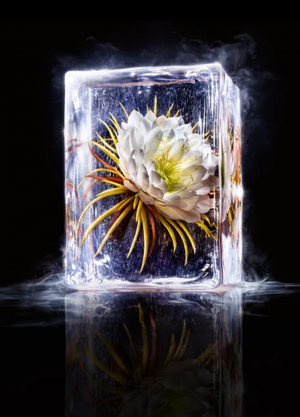 Clarins Precious, la toute nouvelle gamme luxueuse de Clarins. Rare ...